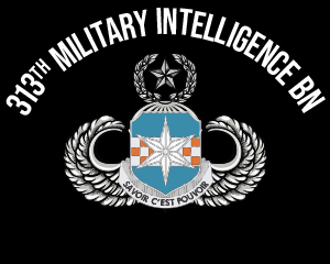 313th Military Intelligence Battalion – Airborne Apparel Co.