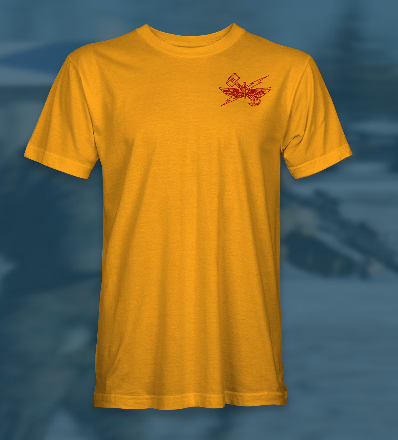 3rd ANGLICO - Marine 3rd Air Naval Gunfire Liaison Company – Airborne ...